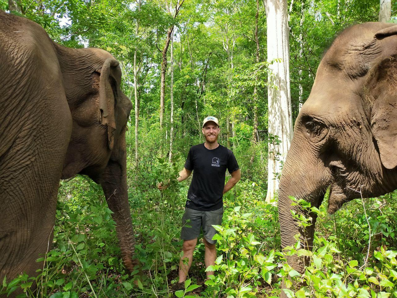 Job Posting - Project Manager - Elephant Valley Project